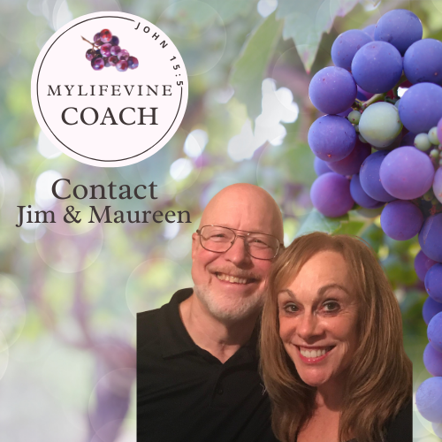 Contact Us - MyLifeVine Coach